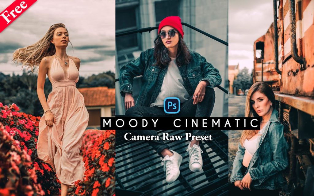 Download New Moody Cinematic Camera Raw Preset for Free » ashvircreations